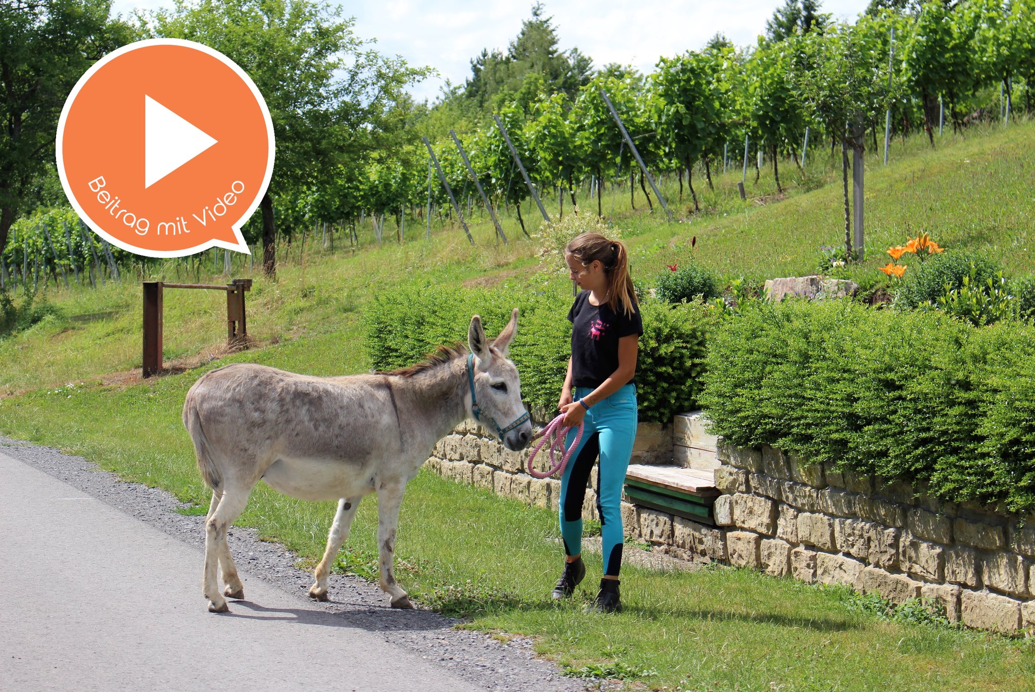 „Wie mein kleines Baby“: Instagram-Star Natalie Neumann über ihren ...