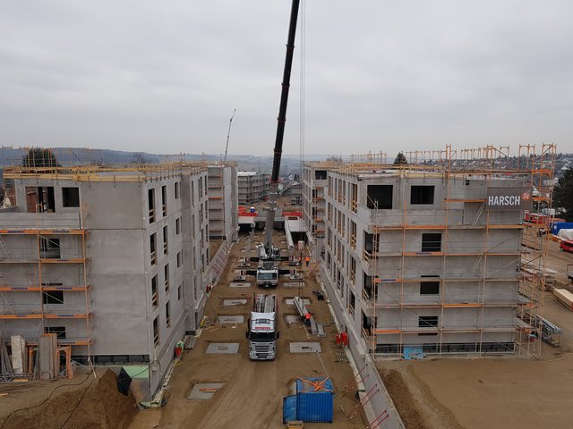 Harsch: Erfolgsgeschichte seit 1919 - Bretten