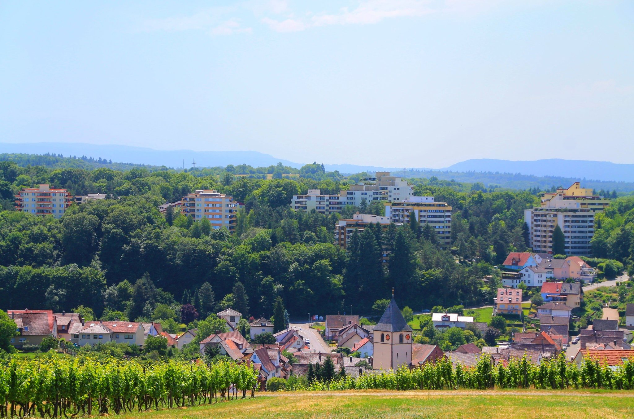 Dehoim in Eisingen: Vom Winzerdorf zur modernen Wohngemeinde - Region