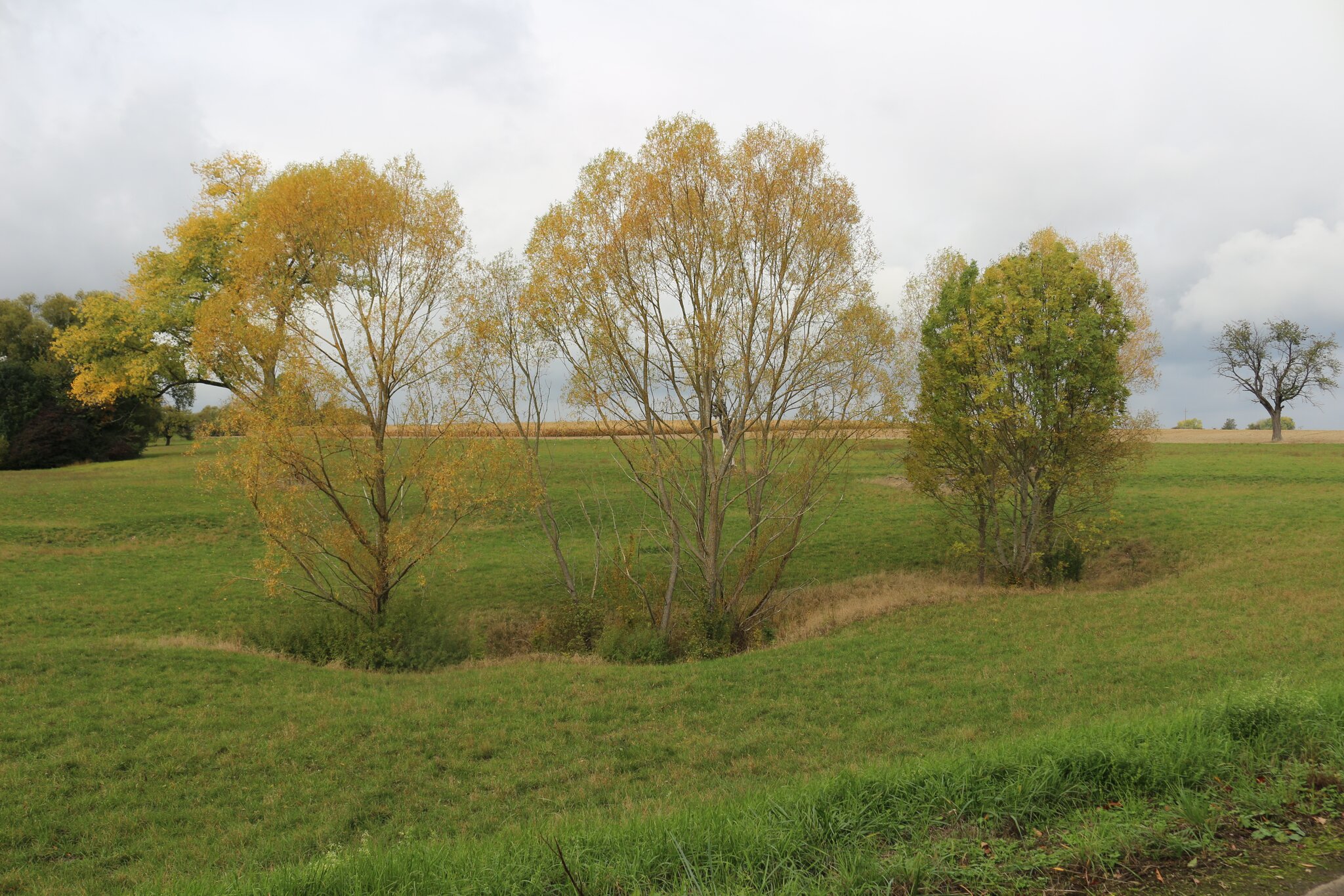 "Neiguggt" in Neulingen: Die Neulinger Dolinen - Region