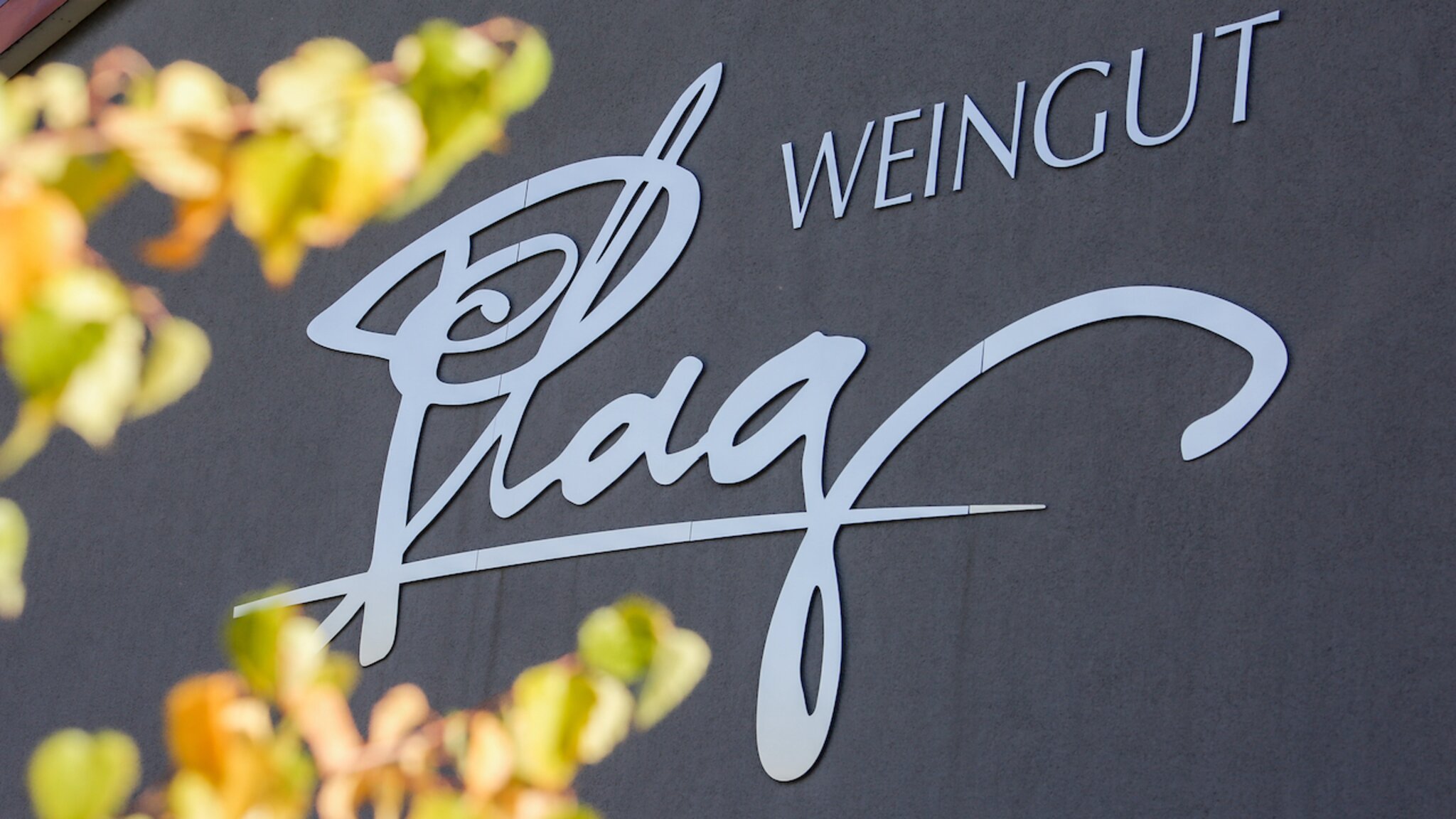 Weine mit unverwechselbarem Charakter: Das Weingut Plag blickt auf ein ...