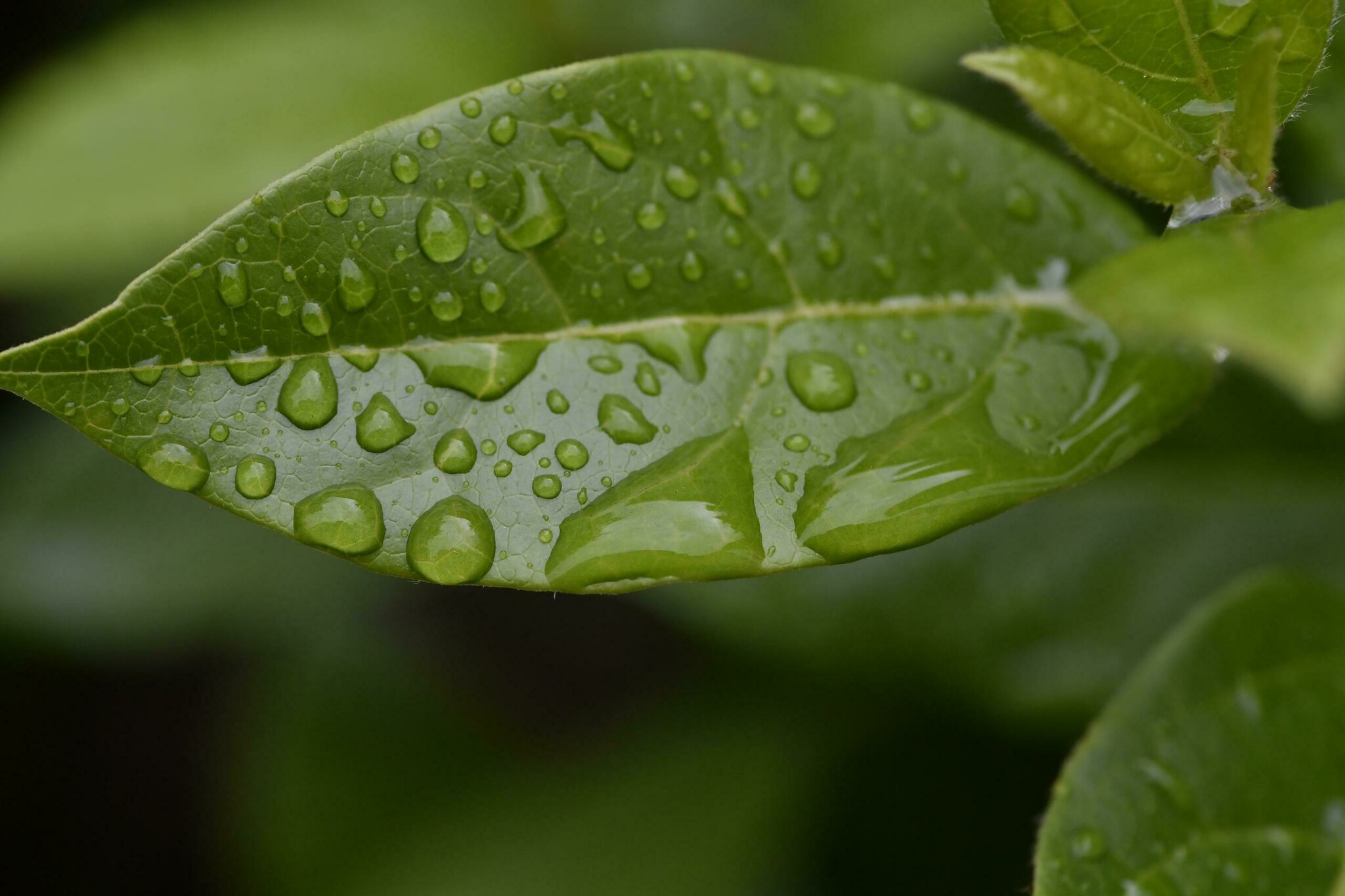 Starkregen erwartet: Neue Woche mit mehr Regen und Wärme - Region