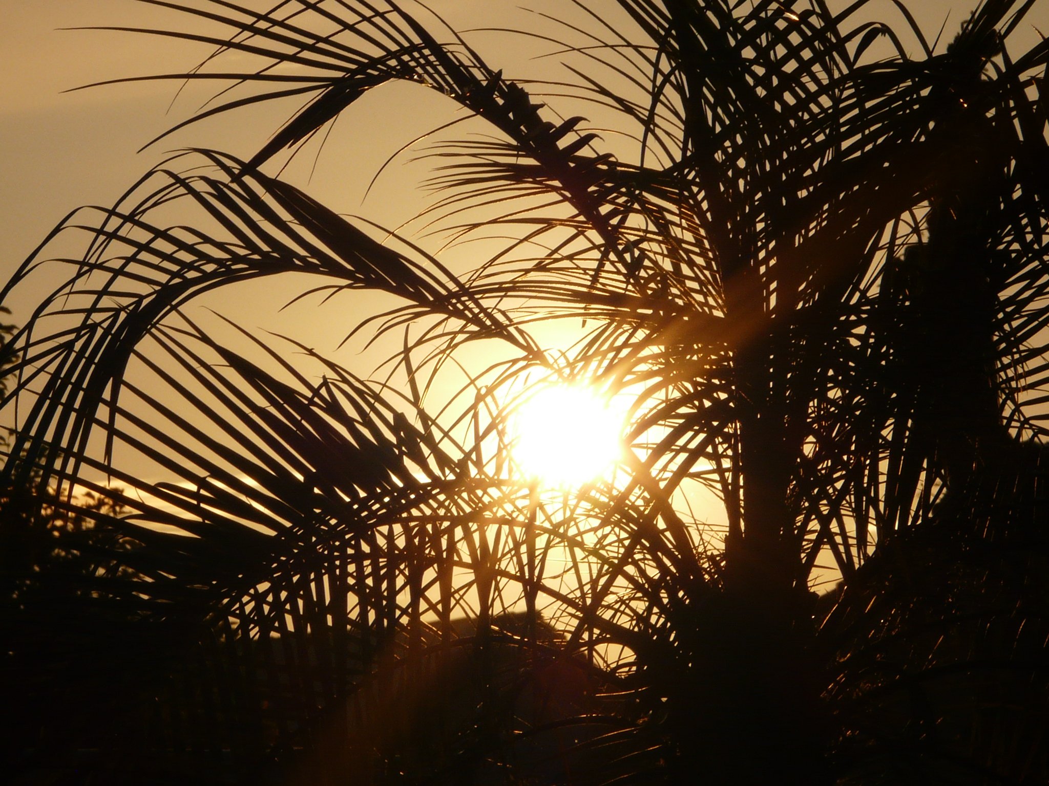 So schön kann die Sonne untergehen