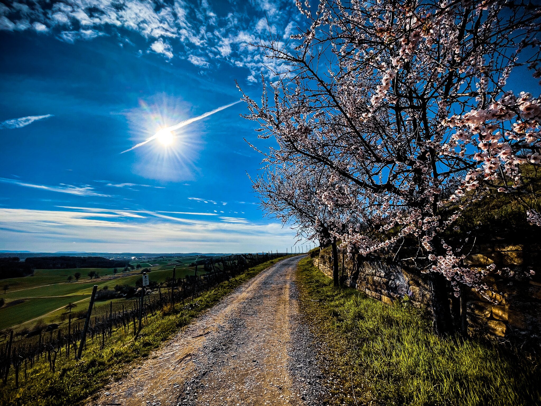 Beautiful Spring Day Wallpaper Download Free Enjoy The Warmth Of
